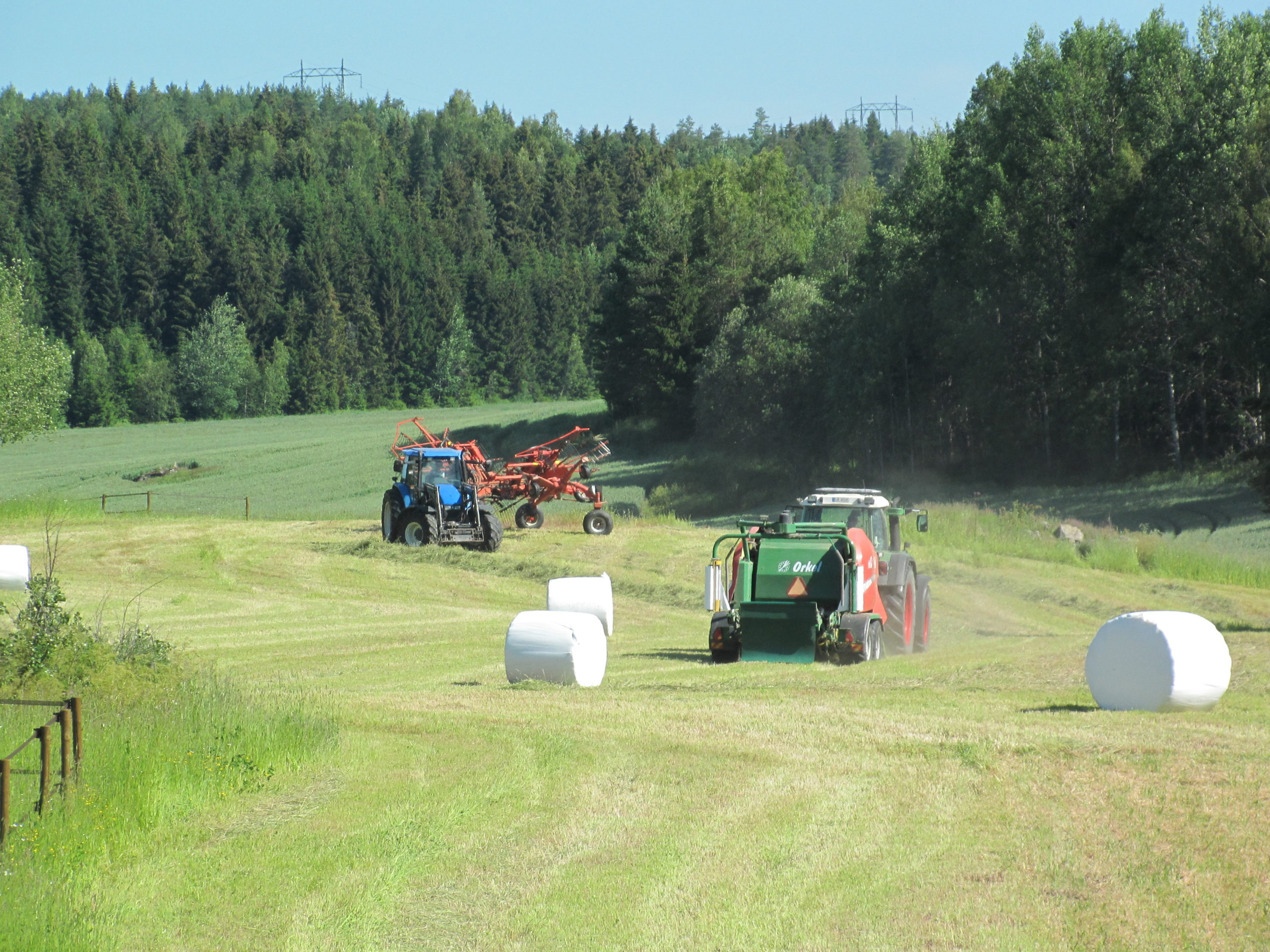 Welcome to Raaken Farm - how about a visit? - HesteKompass.no